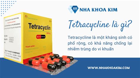 Tetracycline Là Gì Cách Khắc Phục Răng Nhiễm Tetracycline