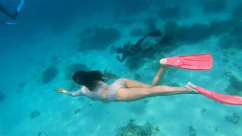 Eng Vlog 보홀 여행브이로그2ㅣ 발리카삭ㅣ보홀스노클링ㅣ버진아일랜드ㅣ보홀바베큐ㅣ보홀거북이ㅣ여행브이로그ㅣsnorkelingㅣtravelvlogㅣvlogㅣ모노빈제이ㅣ배우