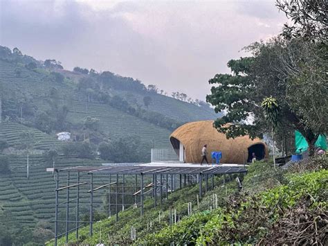 Artificial Thatch Roof Grass At ₹ 125sq Ft In New Delhi Id