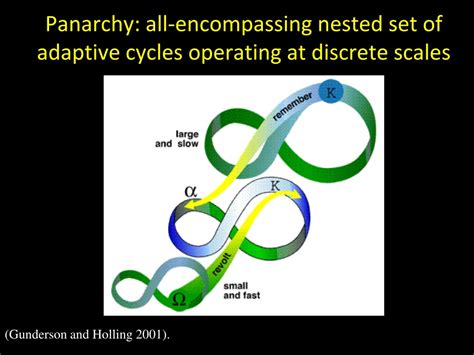 Ppt Adaptive Cycle And Panarchy In Complex Systems Powerpoint Presentation Id 9417513