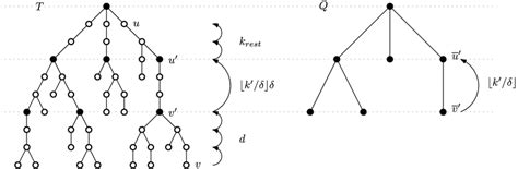 Left A Static Tree T That Has Been Colored According To The Scheme In Download Scientific