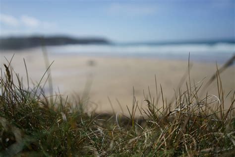 картинки пейзаж море берег воды природа трава песок болотный прерия Солнечный лучик