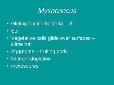 Ppt Chapter 11 Bacteria Powerpoint Presentation Free Download Id 6391266