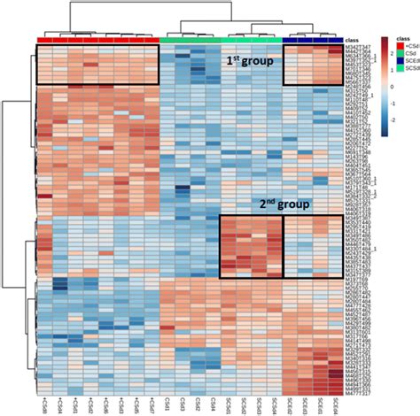 heatmap based on the variable importance in projection of the features