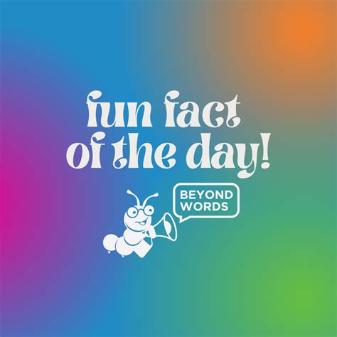 Beyond Words Have You Ever Heard Of A Moonbow 🌙 Stay