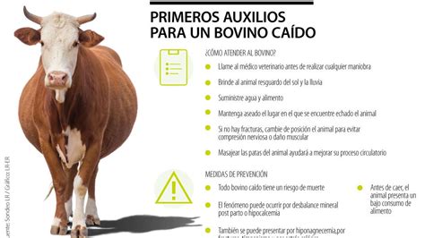 Conozca Los Factores De Riesgo Síntomas Y Tratamiento Para Atender A