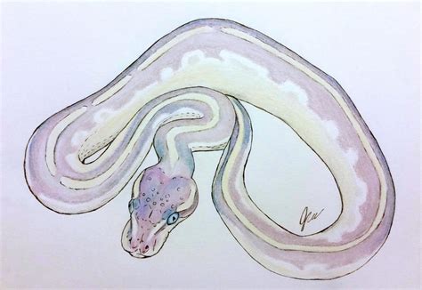 Purple Passion Ball Python By Jasminecollinsart On Deviantart