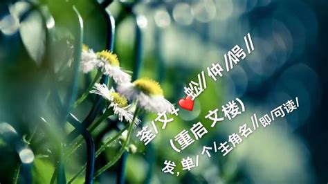 张苇然严振繁华温书