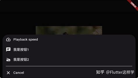 Chewie,一个号称是金子的flutter视频播放插件 知乎 Chewie,一个号称是金子的flutter视频播放插件 知乎