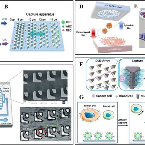 Schematic Illustrations Of A Micro Nanostructure Integrated