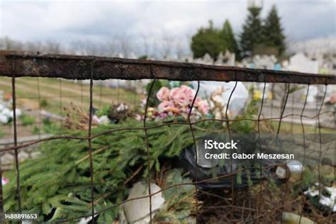 썩은 플라스틱 꽃 소나무 가지 및 기타 쓰레기로 가득 찬 묘지의 녹슨 철망 컨테이너 쓰레기통 구름에 대한 스톡 사진 및 기타