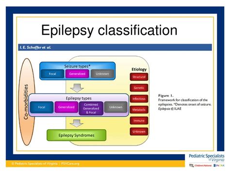 Ppt Youve Got Nerve Clinical Pearls Of Epilepsy Powerpoint Presentation Id 266921