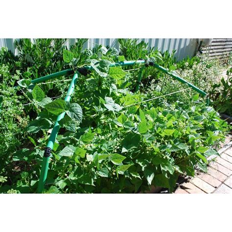 Flexi Garden Frames Modular Mini Greenhouse Kit By Flexi Garden At Mi