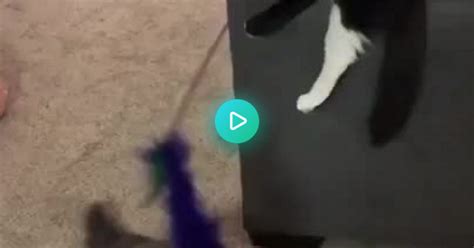 Am I Doing Everything Right Album On Imgur