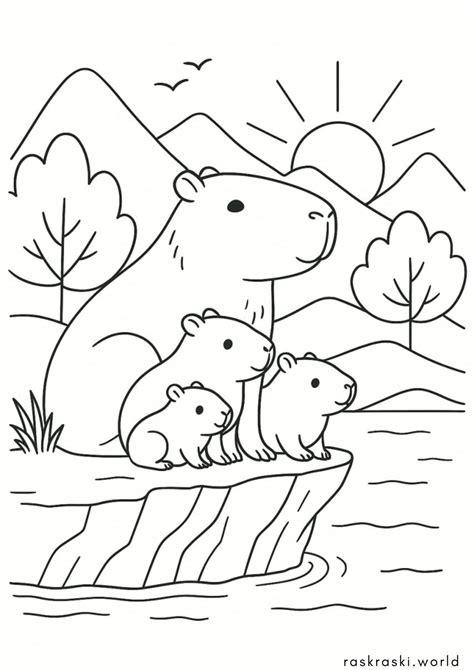 Капибара раскраски для детей распечатать А4 скачать бесплатно