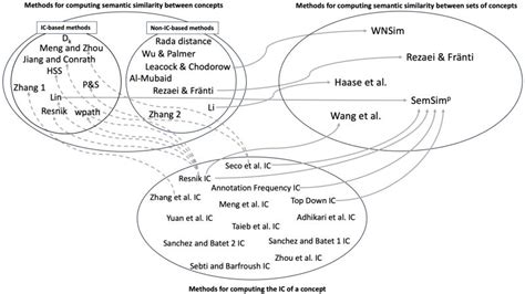 Review Paper On Semantic Similarity In Taxonomies Applied Sciences