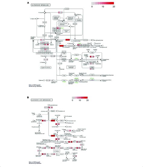 Variant Accumulation By Non Synonymous Substitution In Four Pathway
