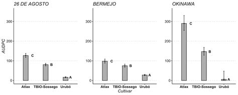 Multiscale Temporal And Spatiotemporal Analysis Of Wheat Blast
