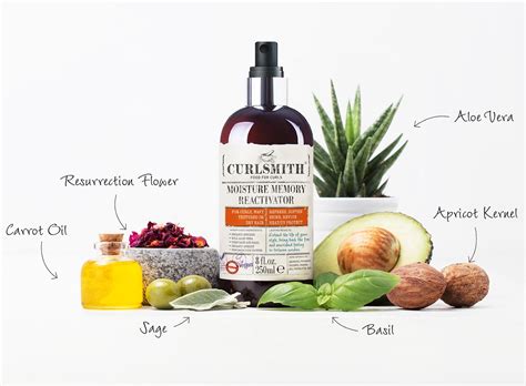 Curlsmith Moisture Memory Reactivator Curl Warehouse