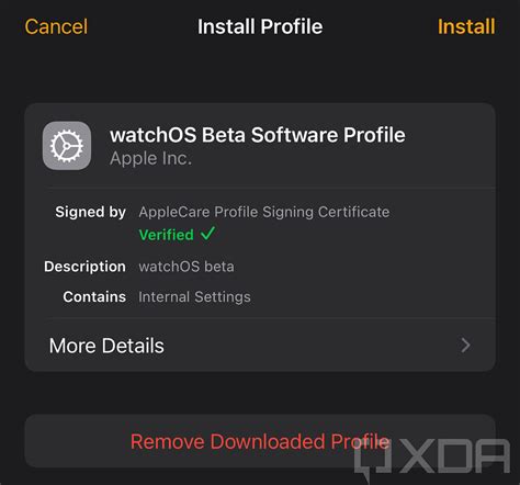 How To Install WatchOS 9 Beta On Your Compatible Apple Watch