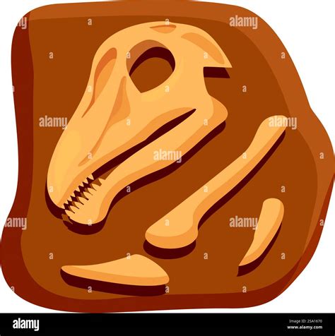 Head Bones Dinosaur Icon Cartoon Vector Stone Fossil Nature Mud Layer Head Bones Dinosaur