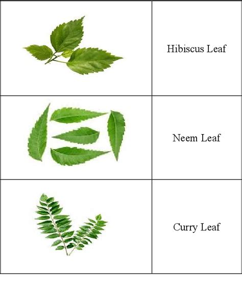 Figure 1 From Svm Based Leaf Disease Classification Assisted With Smart Agrobot For The