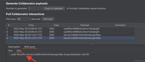 Web安全基础入门—操作系统命令注入（shell 注入）web命令注入 Csdn博客