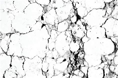 흑백 대리석 텍스처 배경 고해상도의 추상적 배경 패턴 반전 색상 및 선택적 초점 0명에 대한 스톡 사진 및 기타 이미지 0명