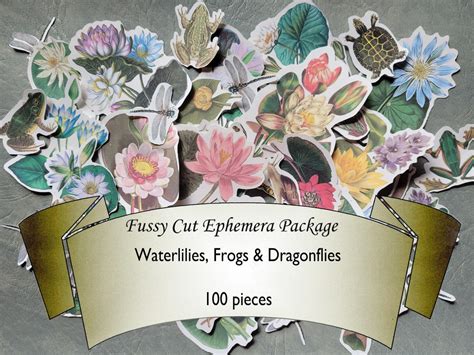Paper Ephemera Pack Pre Cut Ephemera Water Lily Fog And Dragonfly Ephemera Vintage Floral