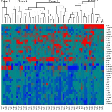 unsupervised hierarchical clustering of 61 primary hgsc samples using