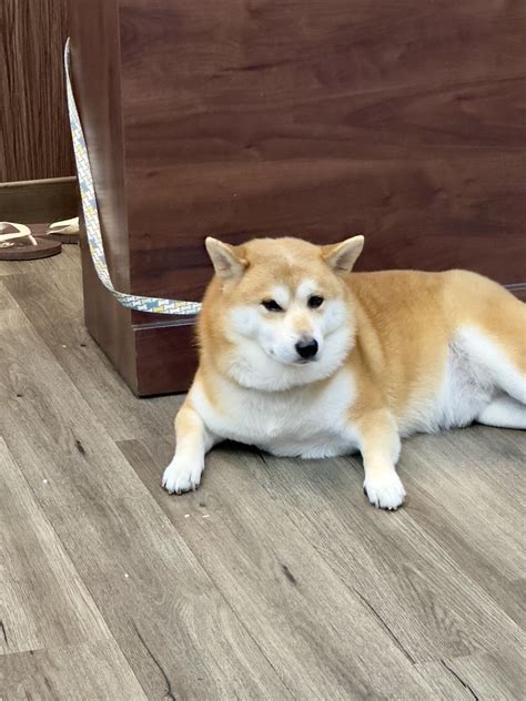 Untitled Junru Lin Flickr