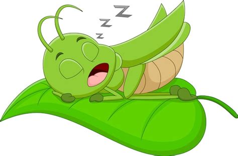 Premium Vector Cartoon Grasshopper Sleeping On A Leaf