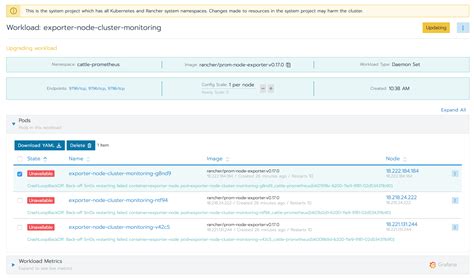 Monitoring Api Is Not Ready · Issue 19665 · Rancherrancher · Github