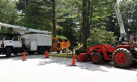 Tree Removal Service Belmont Gilford Alton NH ArborTech