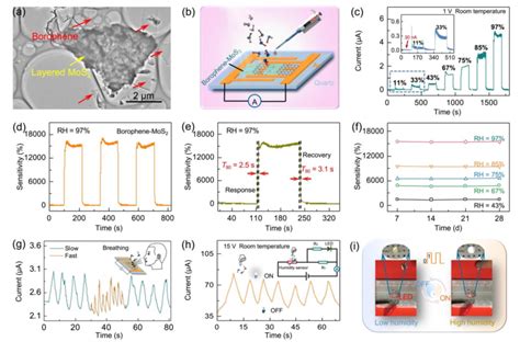 Characterization Humidity Sensing Properties And Multifunctional Download Scientific Diagram
