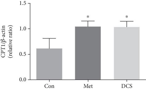Effect Of Jtxk Granule Drug Containing Serum On Ampksirt1pgc 1α