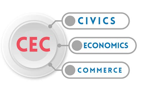 Best Cec College In Hyderabad With Sat Coaching And Cpa Foundation Texas International Academy