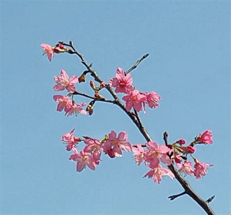 玩具烏托邦