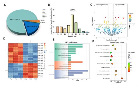 Figure 4 From Non Coding RNA Regulation Of Magang Geese Skeletal Muscle
