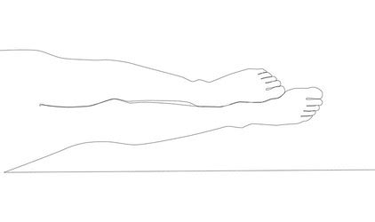 Continuous Line Drawing Naked Women Legs One Vector Image