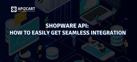 The Shopware API Easy Steps To Seamless Integration