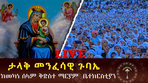 🛑 Live ከዩቴክ ሪልስቴት መካነ ሰላም ቅድስት ማርያም ታላቅ መንፈሳዊ ጉባኤ Youtube