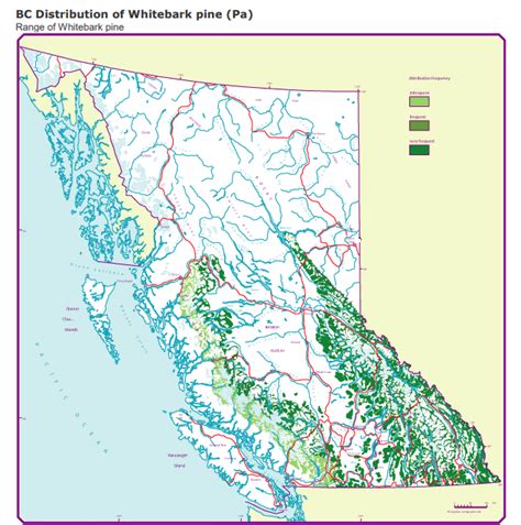 Maps Whitebark Pine Ecosystem Foundation Of Canada