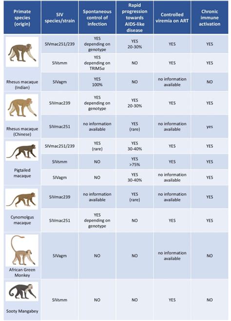 Non Human Primate Species