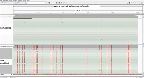 Model Improvement Questions Issue Nanoporetech Remora GitHub
