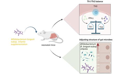 Topic Exploring The Infant Microbiome From Birth To Early Growth And