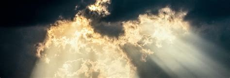 Zig And Webassembly Are A Match Made In Heaven Rzig