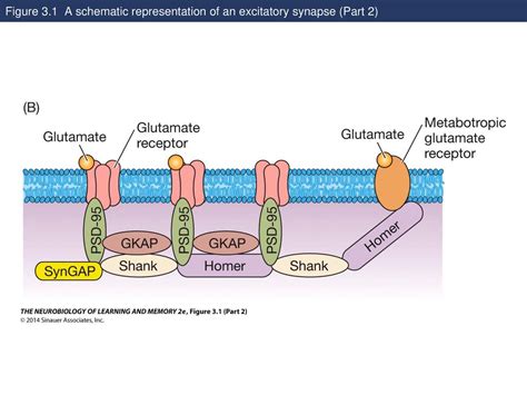 Chapter 3 Opener Ppt Download
