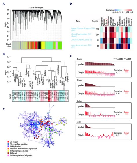 Bioinformatic Analyses Showed That Zwint Highly Correlated With Cell Download Scientific