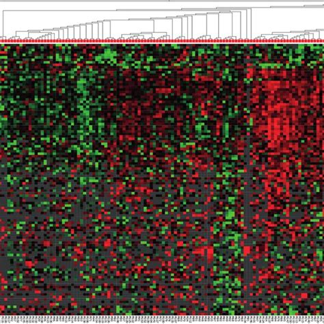 Heatmap And 2 Way Semi Supervised Hierarchical Clustering Based On 90